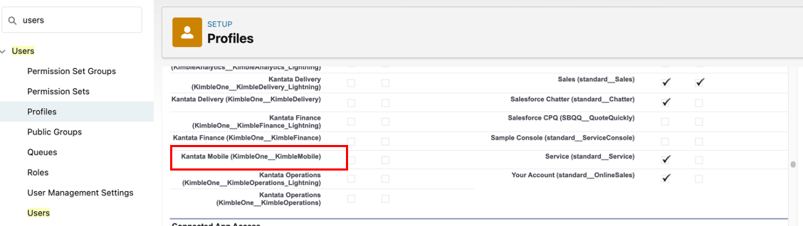 Time & Expense Entry through the Salesforce Mobile app