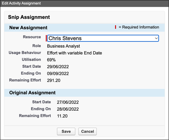 Managing Activity Assignments for a Delivery Engagement