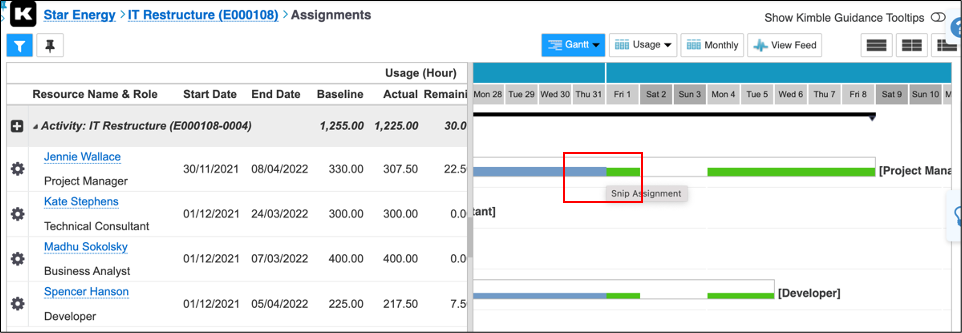 Managing Activity Assignments for a Delivery Engagement